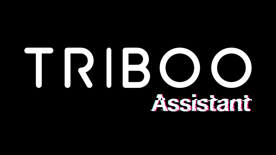 Triboo Assistant: l'Intelligenza Artificiale al servizio dell'e-commerce
